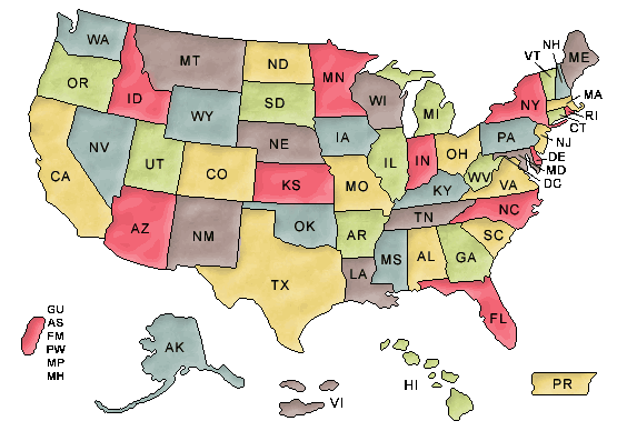 Government Auctions Guide