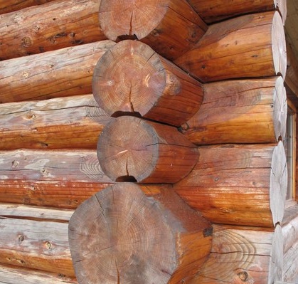 Log Standards for Log Structures